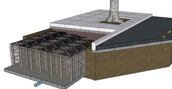 E-Landscape Specialty Solutions, LLC.Product Spotlight: Silva Cells